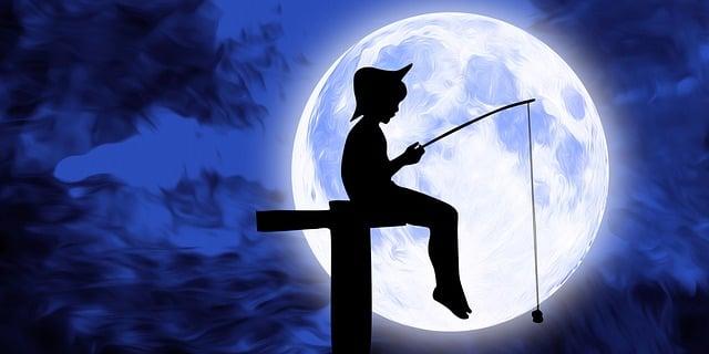 Vše, Co Potřebujete Vědět O Prazma Doradě – Nejlepší Ryba Pro Rybaření ...